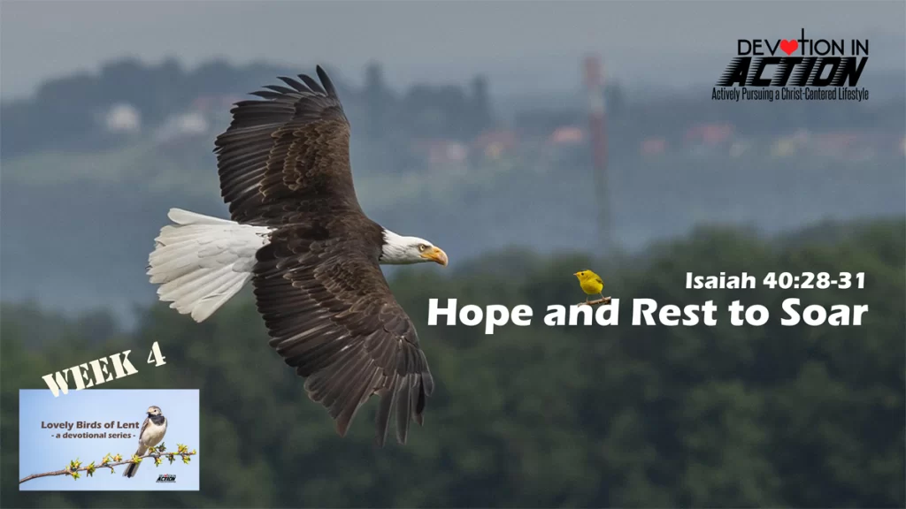 Hope and Rest to Soar - Isaiah 40:28-31 (Lovely Birds of Lent Week 4 ...